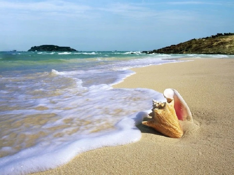 Phan Thiết - Mũi Né 4 ngày 3 đêm: Khám phá văn hóa Chăm, biển đảo và ...