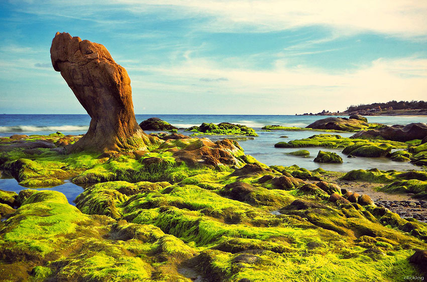 Phan Thiết - Mũi Né 4 ngày 3 đêm: Khám phá văn hóa Chăm, biển đảo và ...