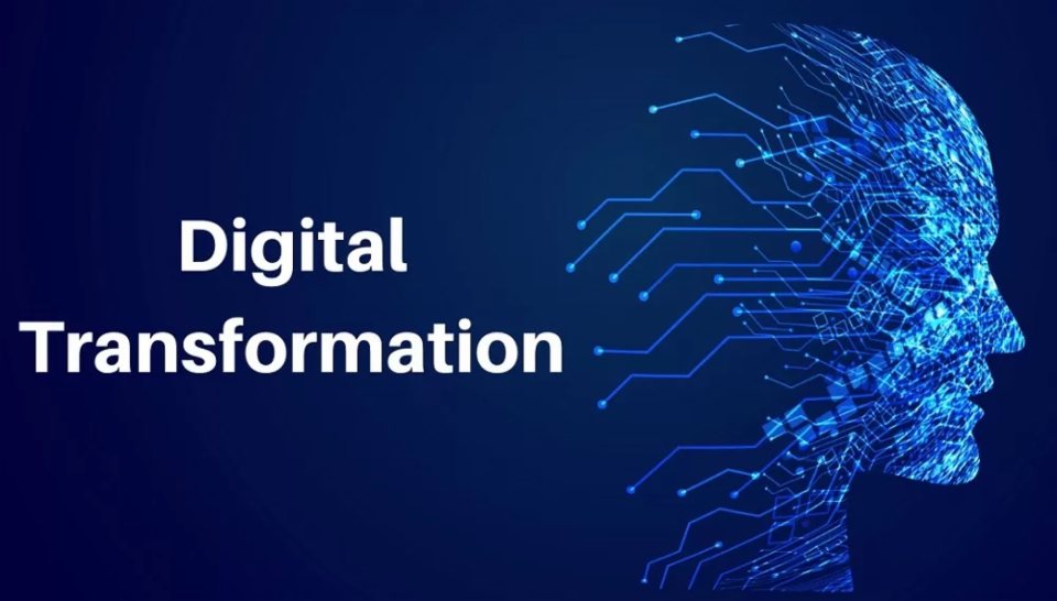 Việt Nam đang đẩy mạnh chuyển đổi số trong những lĩnh vực dịch vụ nào ...