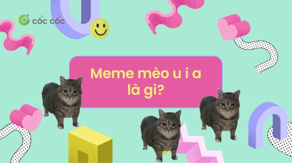 Mèo UIA là gì và vì sao nó lại "viral"? | AI Hay - Hỏi ngay đáp hay