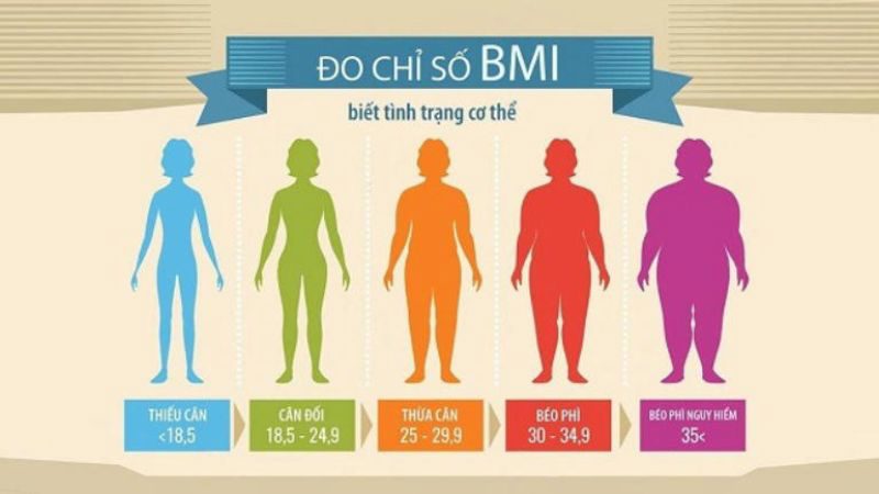 Chỉ số BMI là gì? | AI Hay - Hỏi ngay đáp hay