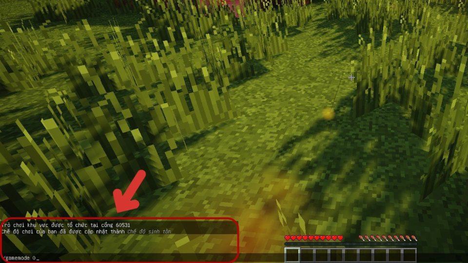 Câu lệnh nhìn trong bóng tối minecraft | AI Hay - Hỏi ngay đáp hay