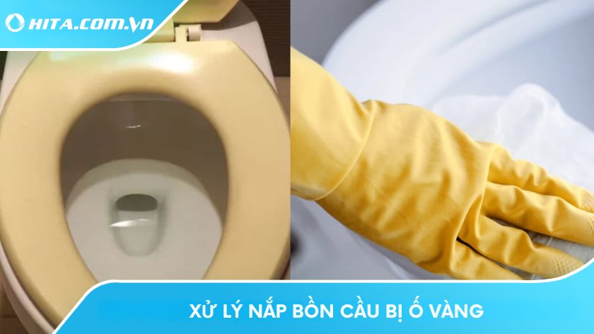Nắp bồn cầu ố vàng: Nguyên nhân và giải pháp làm sạch hiệu quả? | AI ...