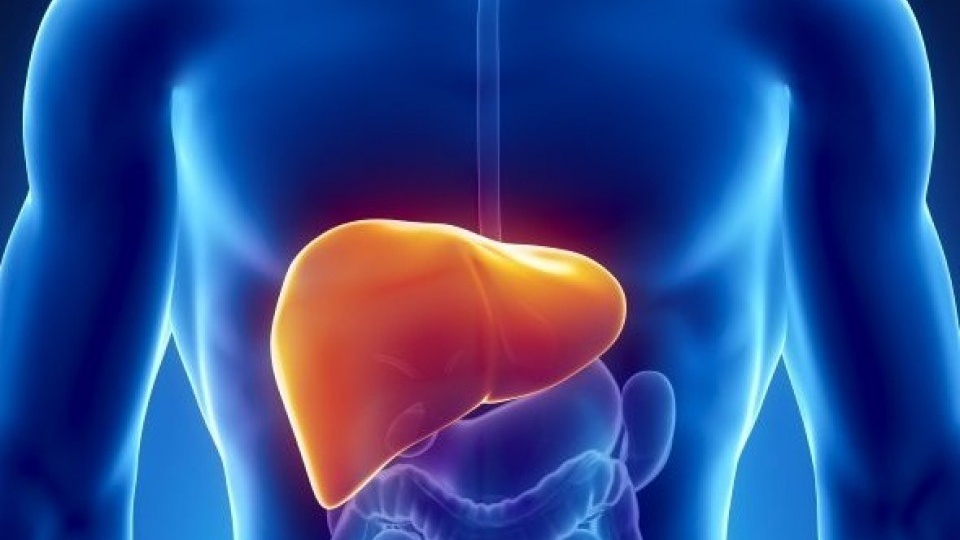 kiểm tra gan thận ở bệnh viện nào dưới Hà Nội | AI Hay - Hỏi ngay đáp hay