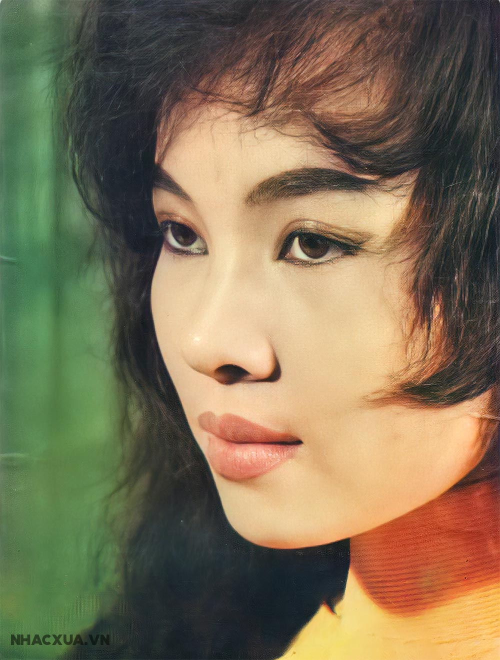 Tiểu sử và sự nghiệp của nhạc sĩ Trịnh Công Sơn | AI Hay - Hỏi ngay đáp hay