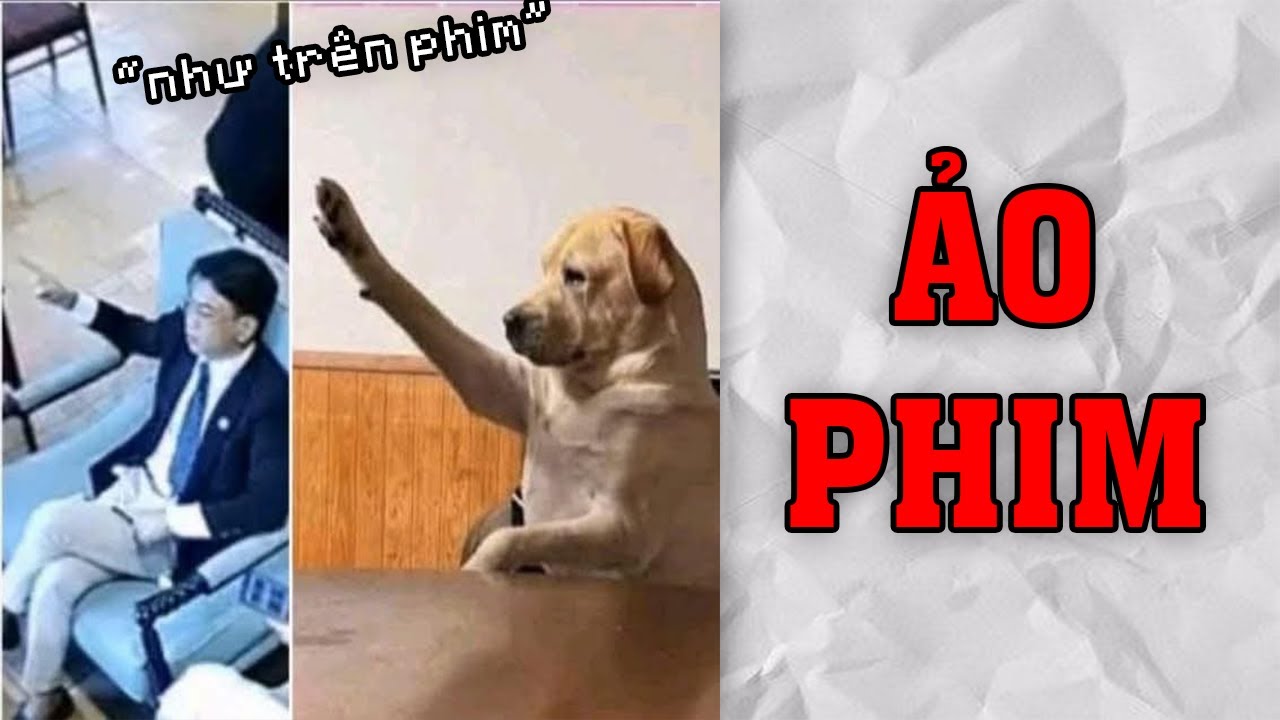 Meme tổng tài là gì? | AI Hay - Hỏi ngay đáp hay