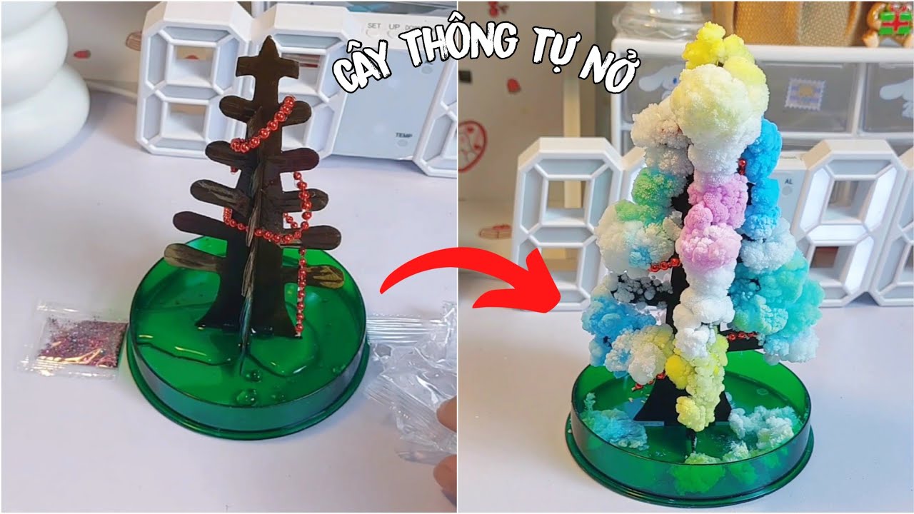 Magic Funny Tree có gì đặc biệt? | AI Hay - Hỏi ngay đáp hay