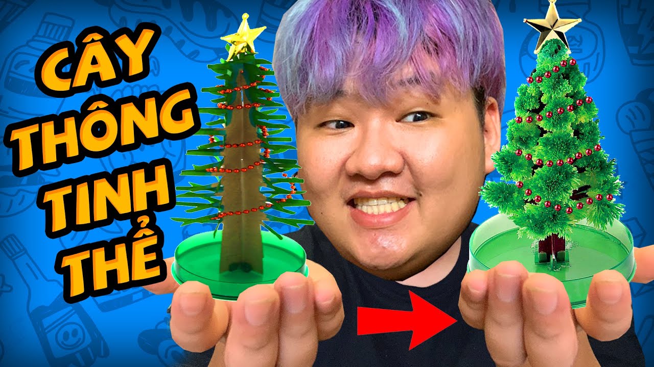 Magic Funny Tree có gì đặc biệt? | AI Hay - Hỏi ngay đáp hay
