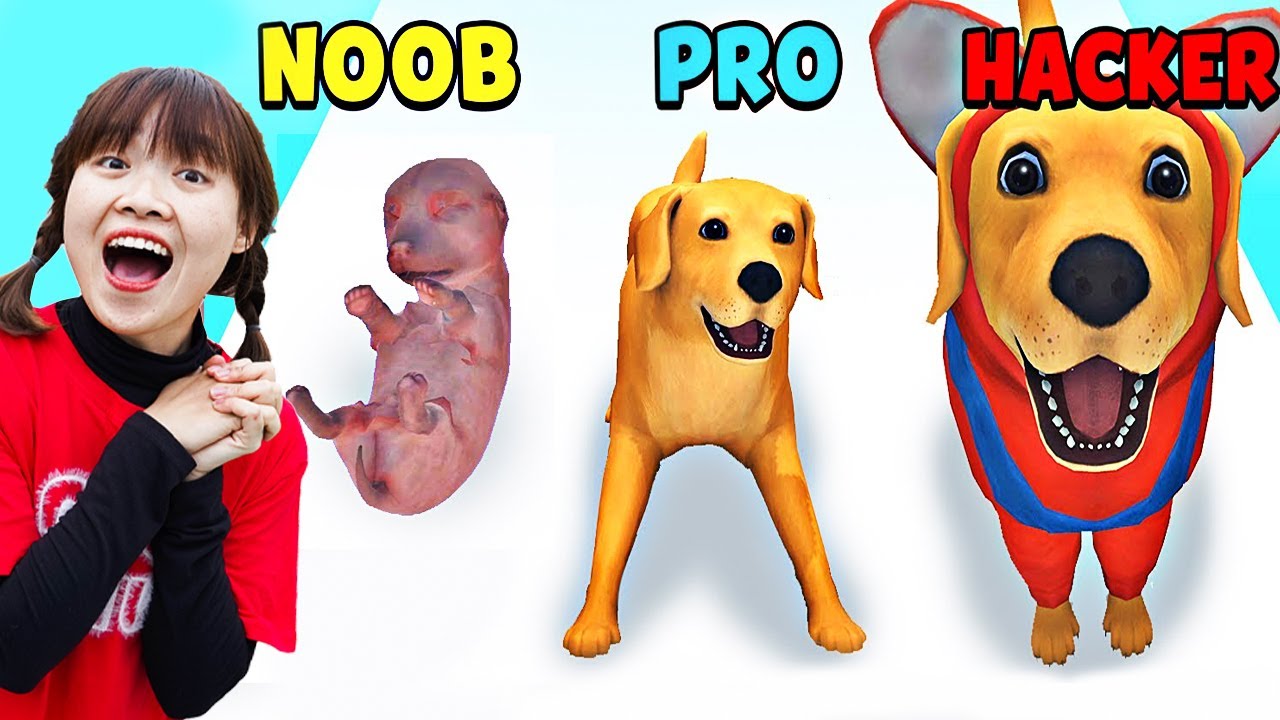 Con chó 🐕🐕🐕🐕🐕 hàmy | AI Hay - Hỏi ngay đáp hay