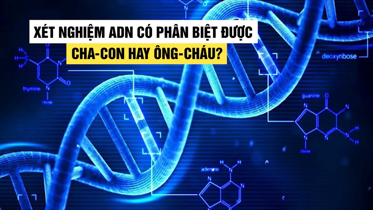 Xét nghiệm huyết thống dòng Y sử dụng những locus Y-STR nào? | AI Hay ...