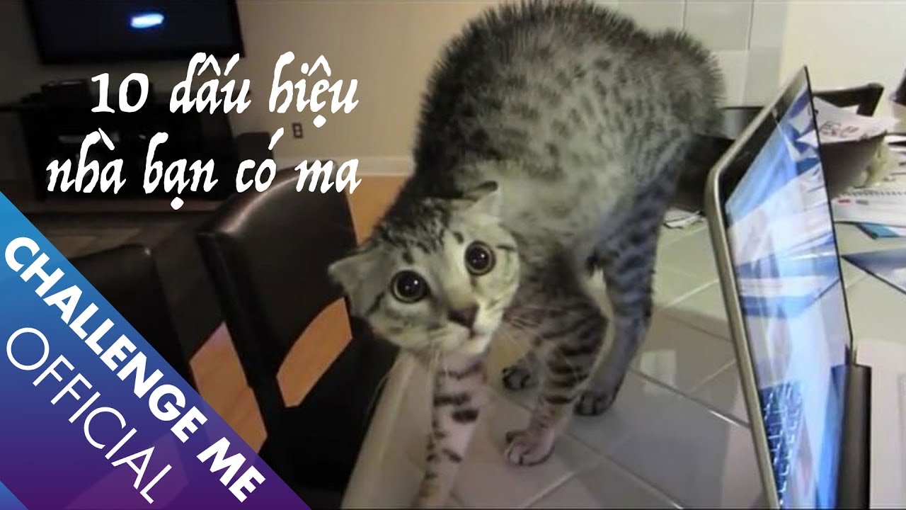 Cách nhận biết nhà có ma | AI Hay - Hỏi ngay đáp hay