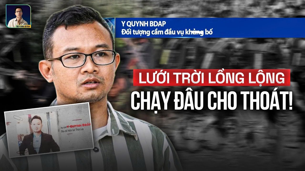 Dẫn độ Y Quynh Bdap | AI Hay - Hỏi ngay đáp hay