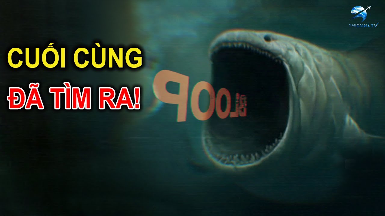 Cá bioop nước âm thanh dưới đại dương quốc gia hoa kỳ Việt Nam Hàn Quốc ...