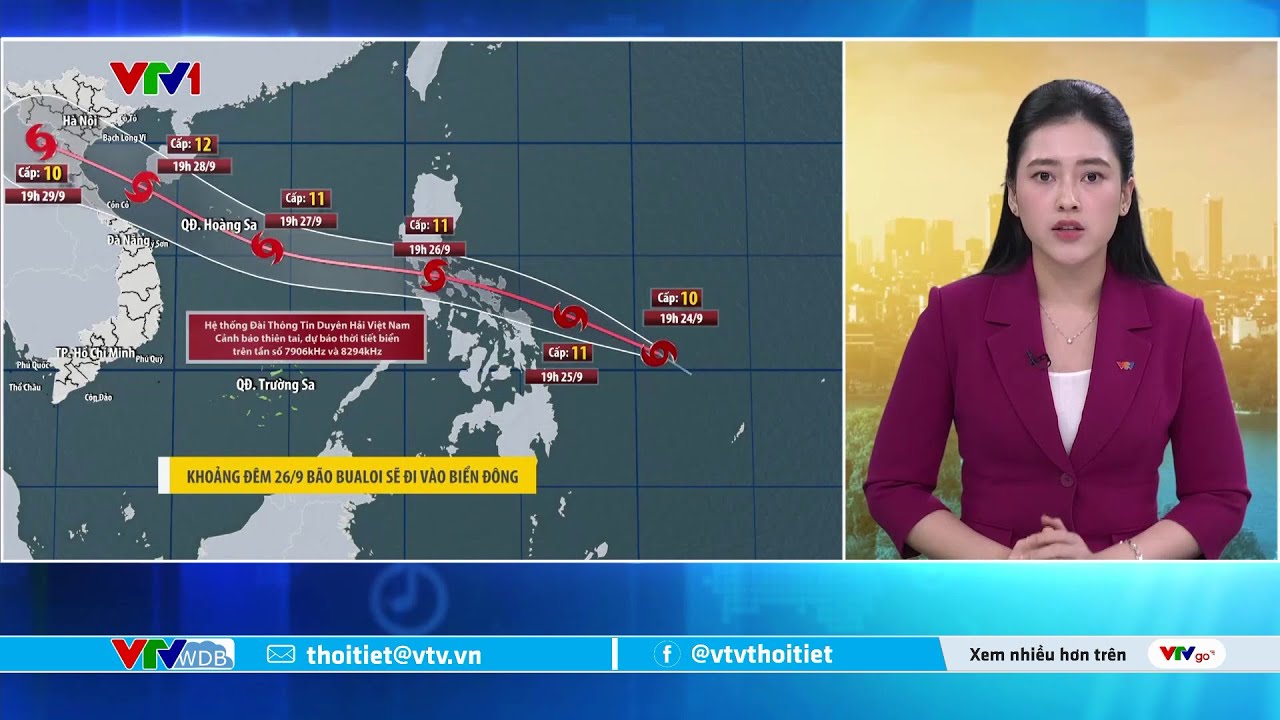 Báo buloi đi đến đâu rồi | AI Hay - Hỏi ngay đáp hay
