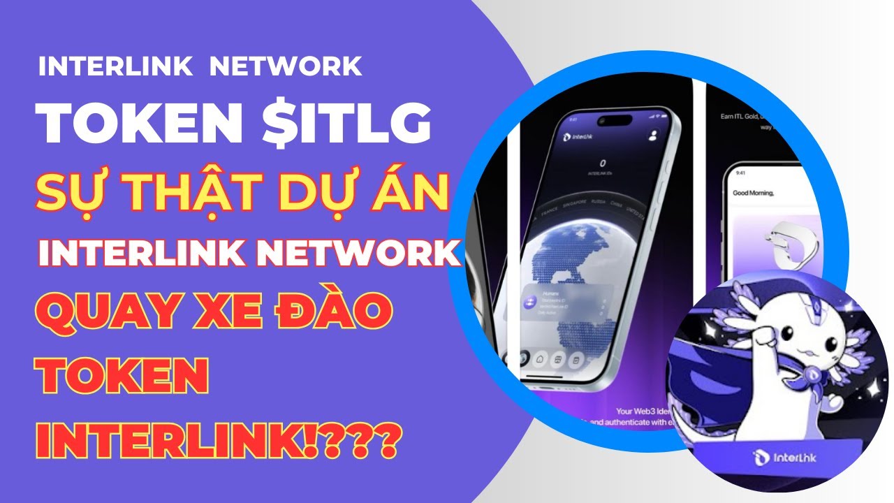 Interlink Network đã hợp tác với những tổ chức nào để phát triển? | AI ...