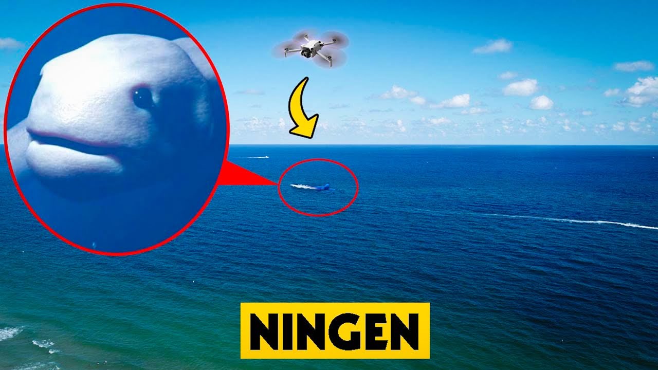 Ningen: Truyền thuyết hay hiện thực biển sâu? | AI Hay - Hỏi ngay đáp hay