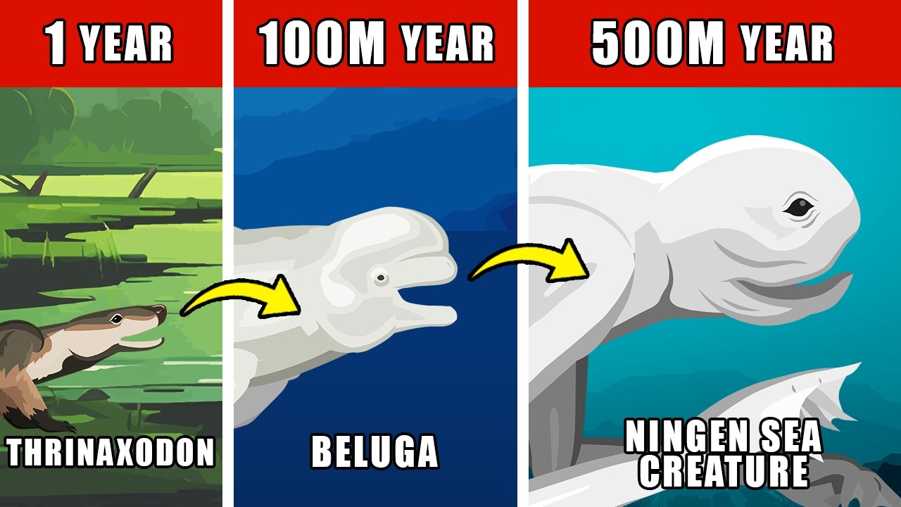 Ningen: Truyền thuyết hay hiện thực biển sâu? | AI Hay - Hỏi ngay đáp hay