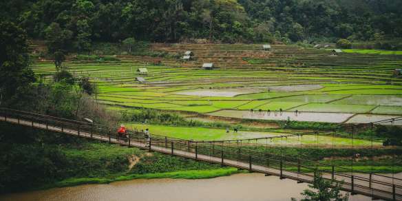 Giá vé máy bay hà nội sài gòn | AI Hay - Hỏi ngay đáp hay