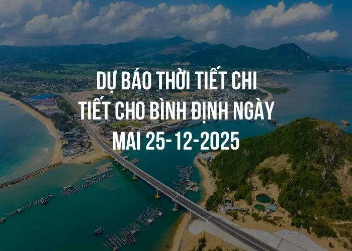 Liệu Bình Định có mưa to, gió mạnh và chịu ảnh hưởng mạnh của không khí ...