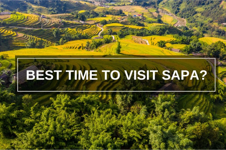 Sa Pa có gì đặc biệt theo mùa? | AI Hay - Hỏi ngay đáp hay