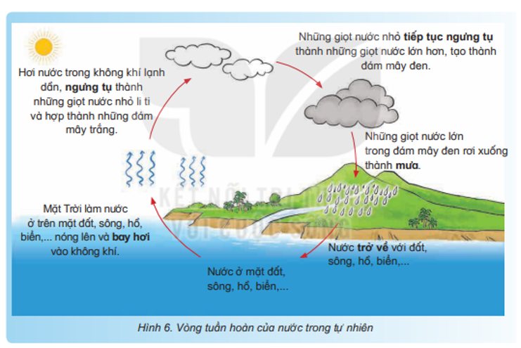 Quá trình hình thành mưa như thế nào | AI Hay - Hỏi ngay đáp hay