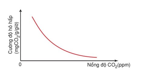 tóm tắt siêu ngắn nêu các yếu tố ảnh hưởng đến hô hấp tế bào | AI Hay ...