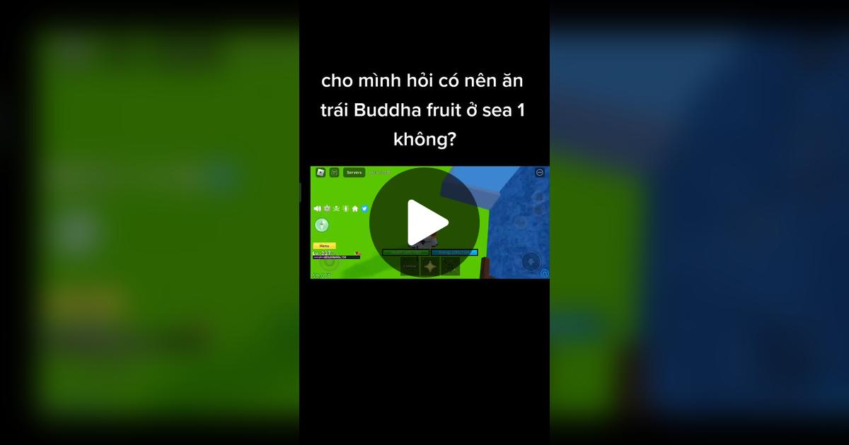 Có nên bỏ buddha ăn t rex hay không | AI Hay - Hỏi ngay đáp hay