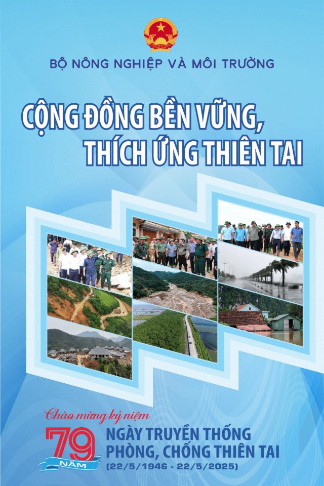 Cơn bão số 11 xảy ra ngày nào năm 2025 | AI Hay - Hỏi ngay đáp hay